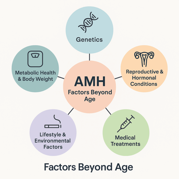 AMH Levels Explained: Can You Improve AMH Naturally? - Pristine Fertility